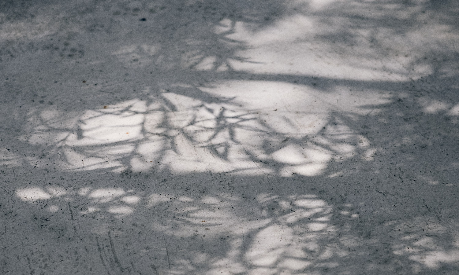 [ Note ] 熱を持つものに、人は惹かれる – cobaco